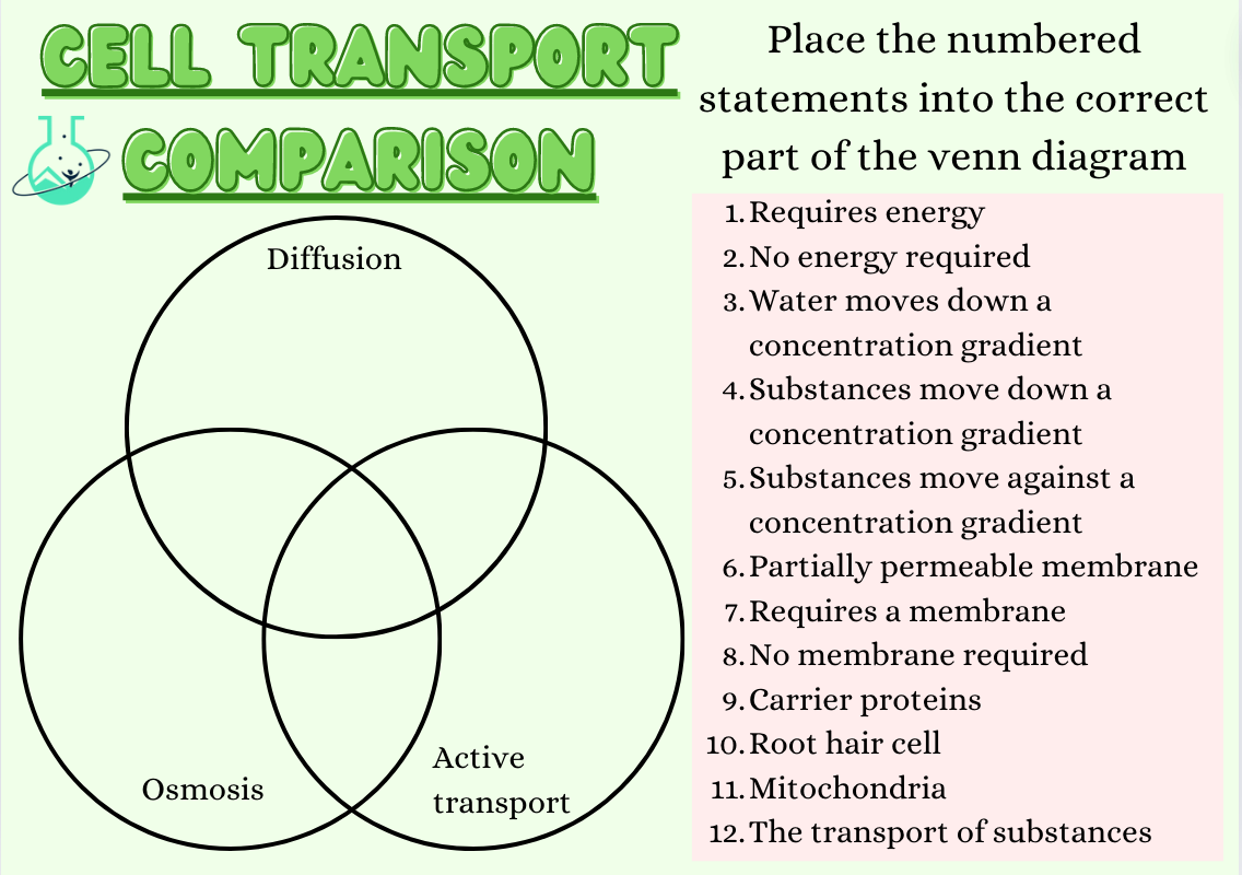 Cell structure and transport – Top Marks Science