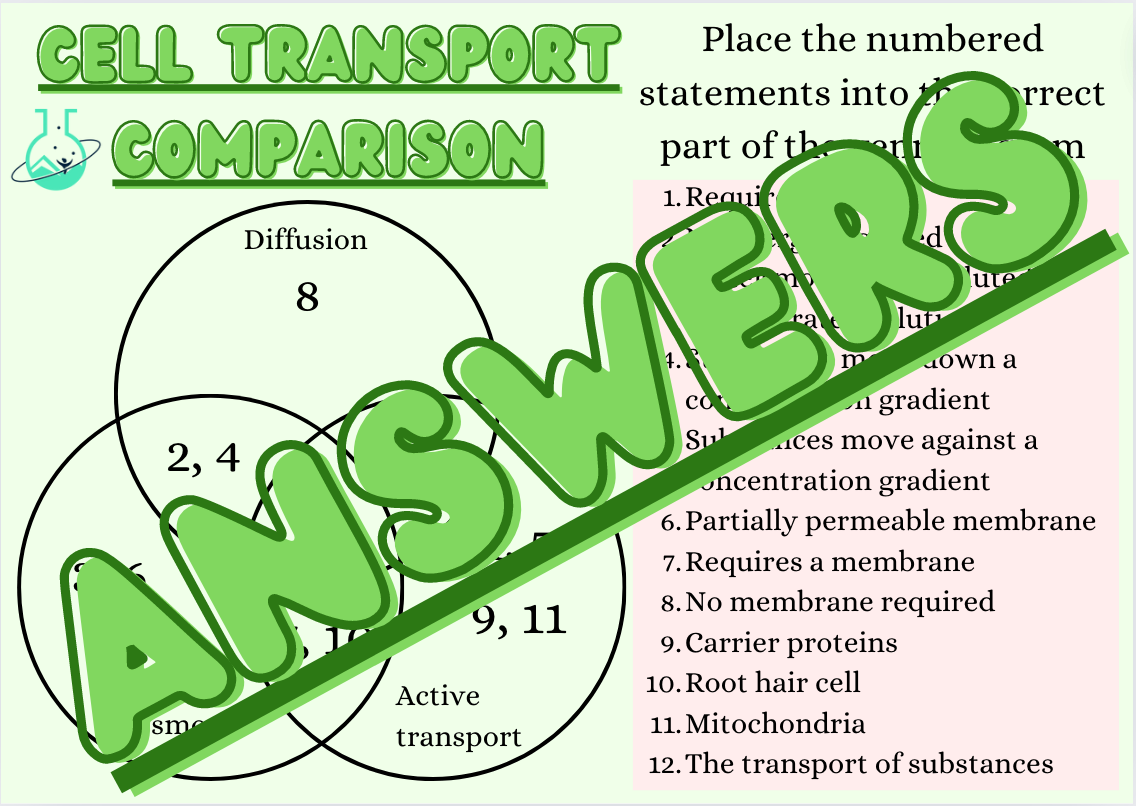 Cell structure and transport – Top Marks Science